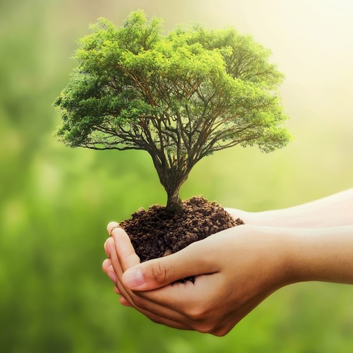 Lucien Pellerin - Avis de décès | Coopérative funéraire du Témiscamingue